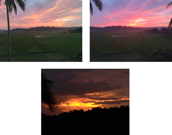 Colours of the Sky and the Sea – Discover Science