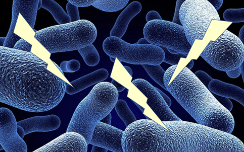 Bacteria that “breathe” electrons: The exciting field of ...