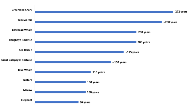 What determines the lifespan of animals? – Discover Science